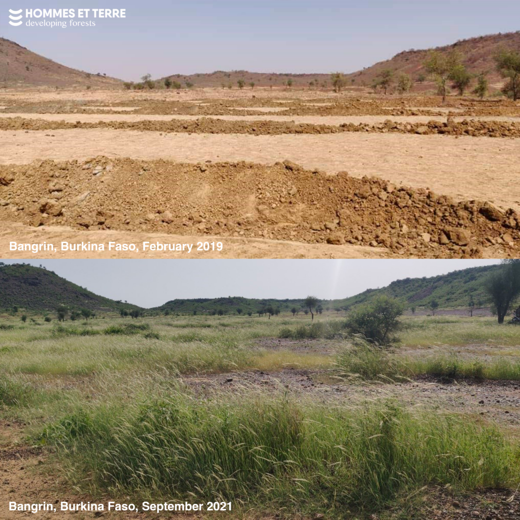 World Day to Combat Desertification and Drought - HOMMES ET TERRE